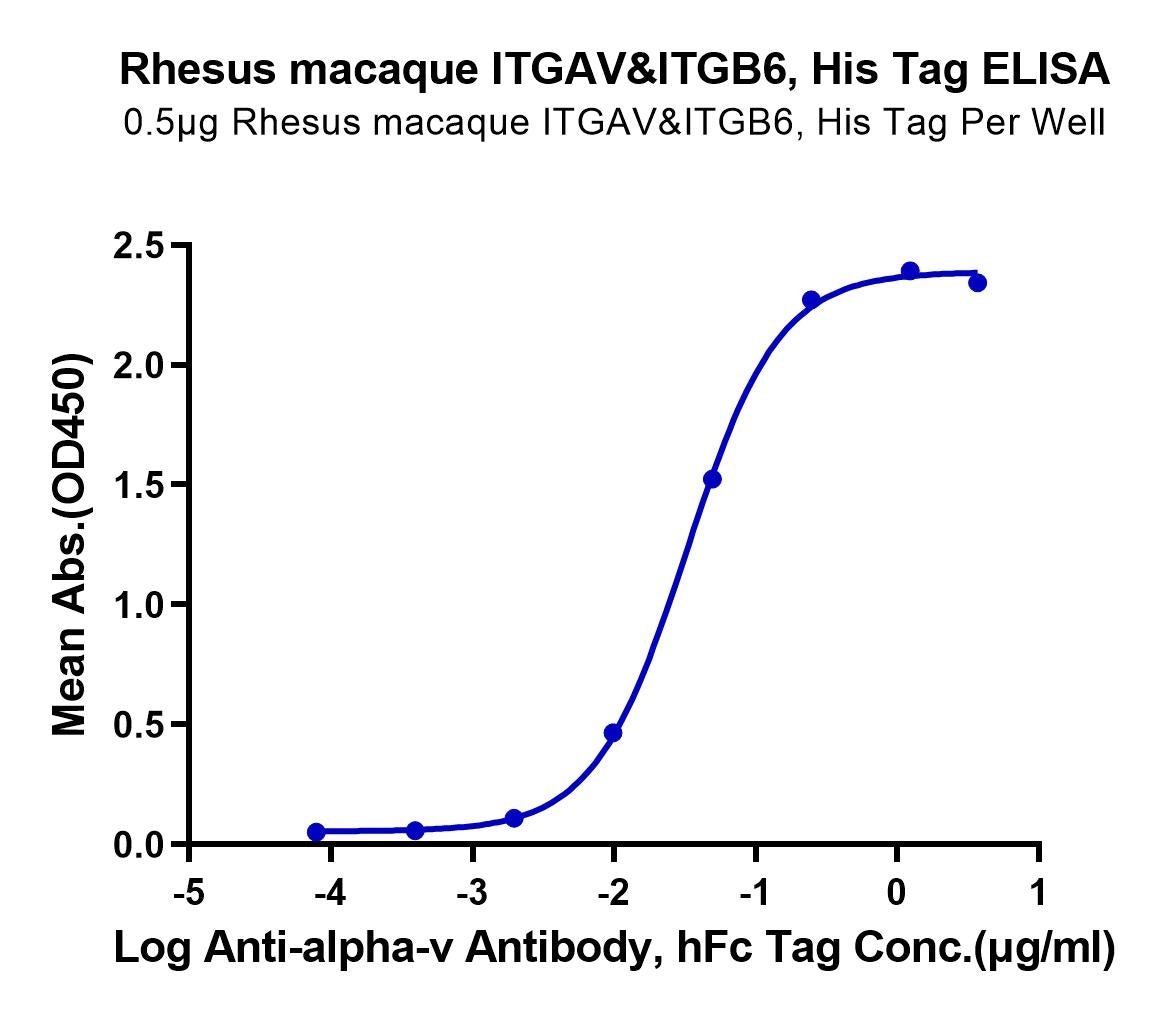 Rhesus macaque Integrin alpha V beta 6 (ITGAV&ITGB6) Heterodimer Prote – KACTUS