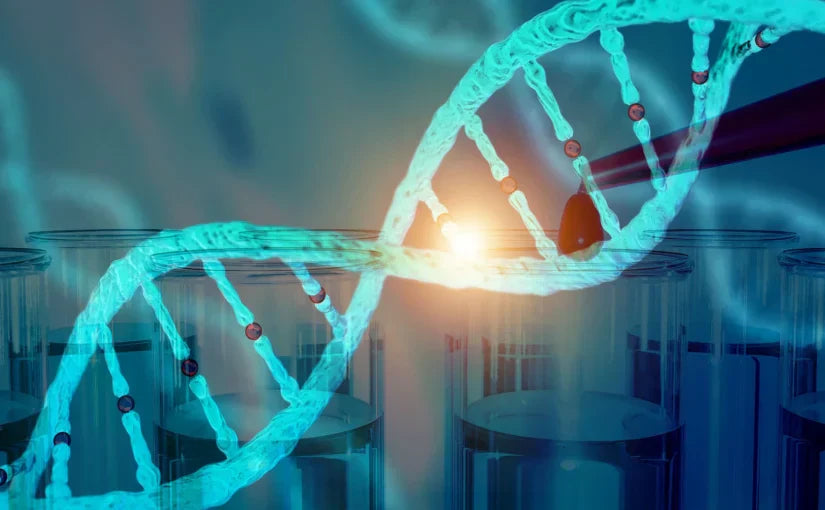 FDA Guidelines for Gene Editing: Impact on Drug Development | KACTUS