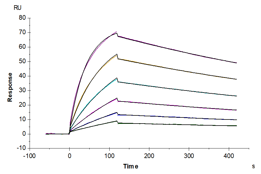 Human Coagulation factor III/Tissue Factor Protein, Ultra Low Endotoxin ...