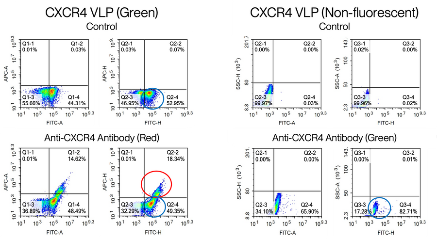 Custom VLP & Nanodisc Transmembrane Proteins Services | KACTUS