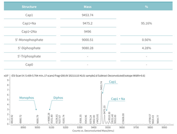 mRNA enzymes – KACTUS