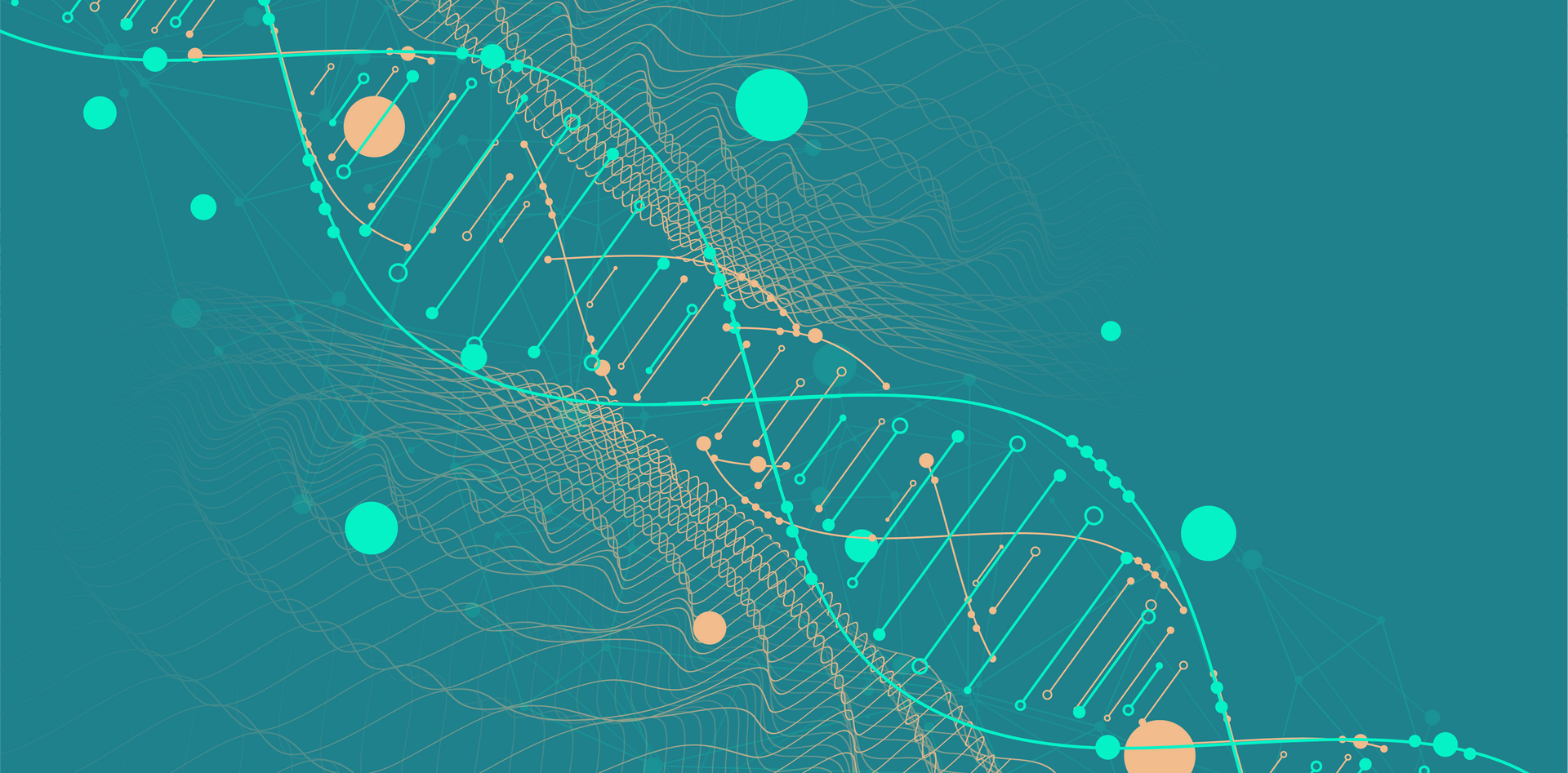 DNA Amplification Enzymes | High-Purity Enzymes | KACTUS