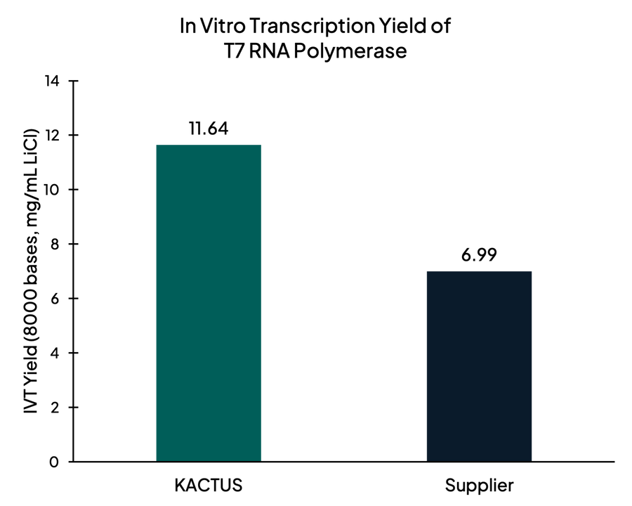 T7 RNA Polymerase Products (GMP-Grade) | for mRNA Manufacturing | KACTUS