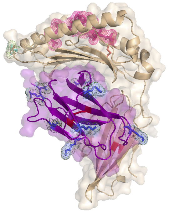 The Structure Lab by KACTUS: 3D Protein Modeling