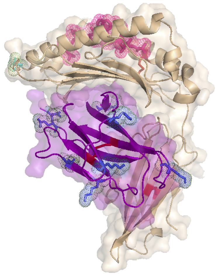 The Structure Lab by KACTUS: 3D Protein Modeling