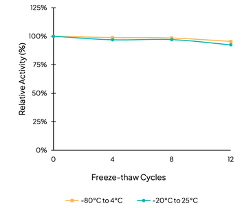GMP Enzymes for mRNA Synthesis and Gene Editing – KACTUS