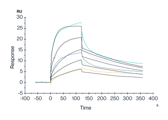 Transmembrane Protein VLP & Nanodisc Collection | KACTUS