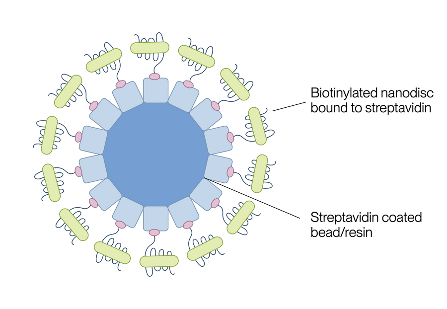 Nanosphere™ - Novel Membrane Protein Display Platform | KACTUS