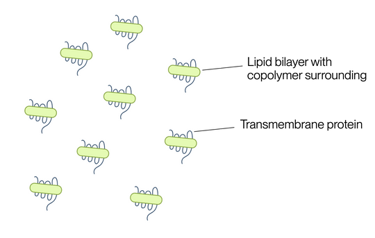 Nanosphere™ - Novel Membrane Protein Display Platform | KACTUS