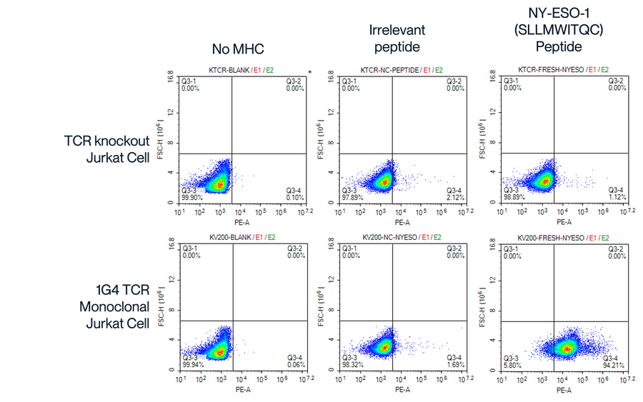 Custom MHC Complex Service | Monomers & Tetramers | KACTUS