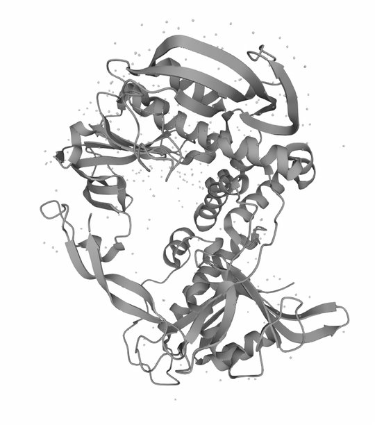 Phi29 DNA Polymerase (PHI-BE101) | KACTUS