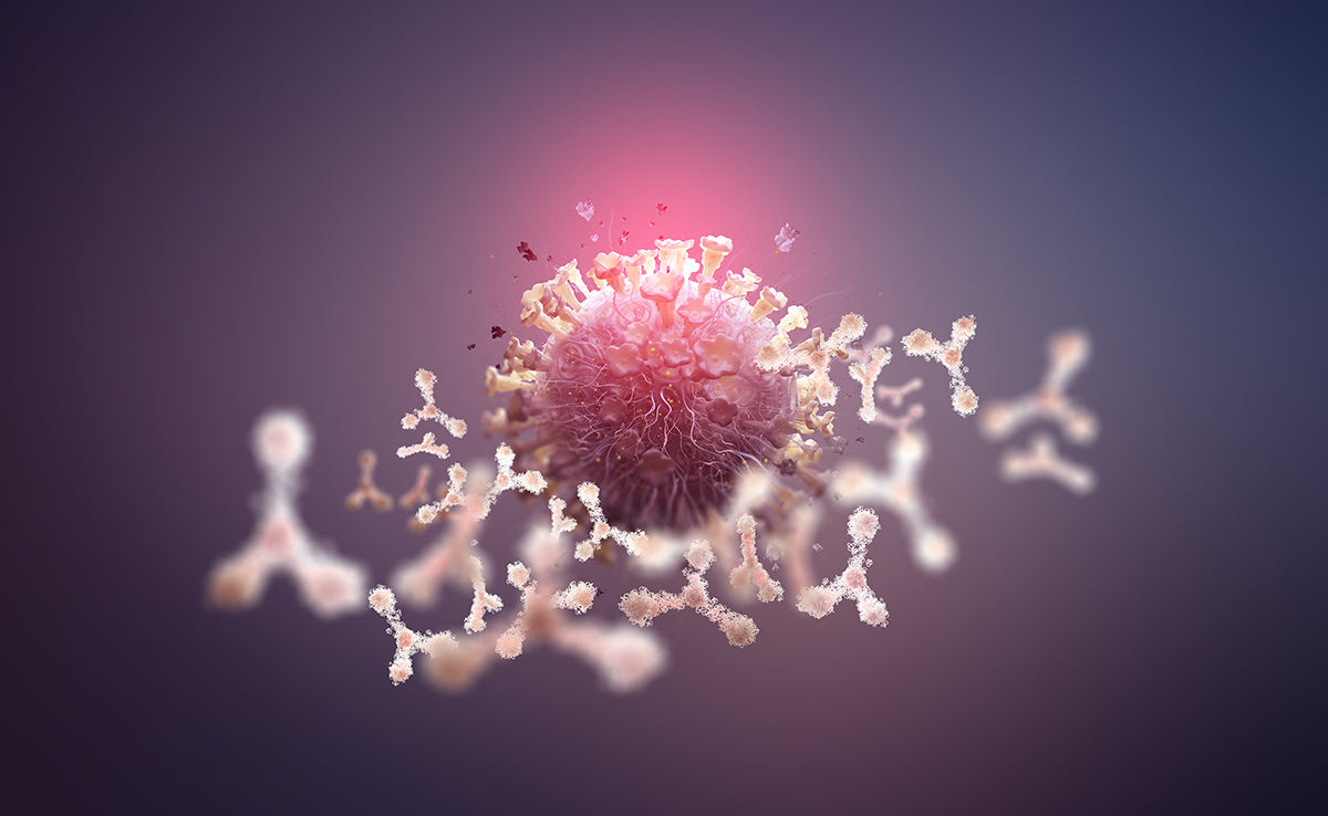 VLP & Nanodisc Displayed Transmembrane Proteins | KACTUS