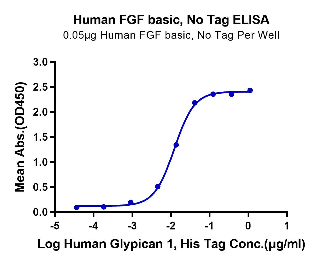 Human FGF basic Protein (FGF-HE001) – KACTUS