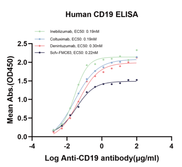 Human CD19 Protein (CD1-HM119) – KACTUS