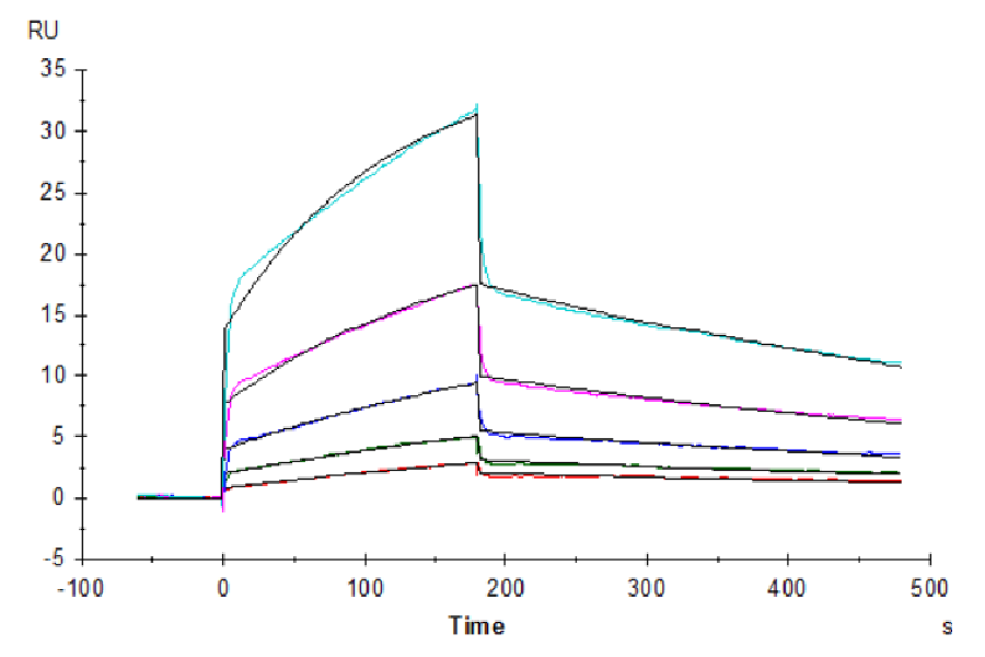 Human B7-H6/NCR3LG1 Protein (BH7-HM176) – KACTUS