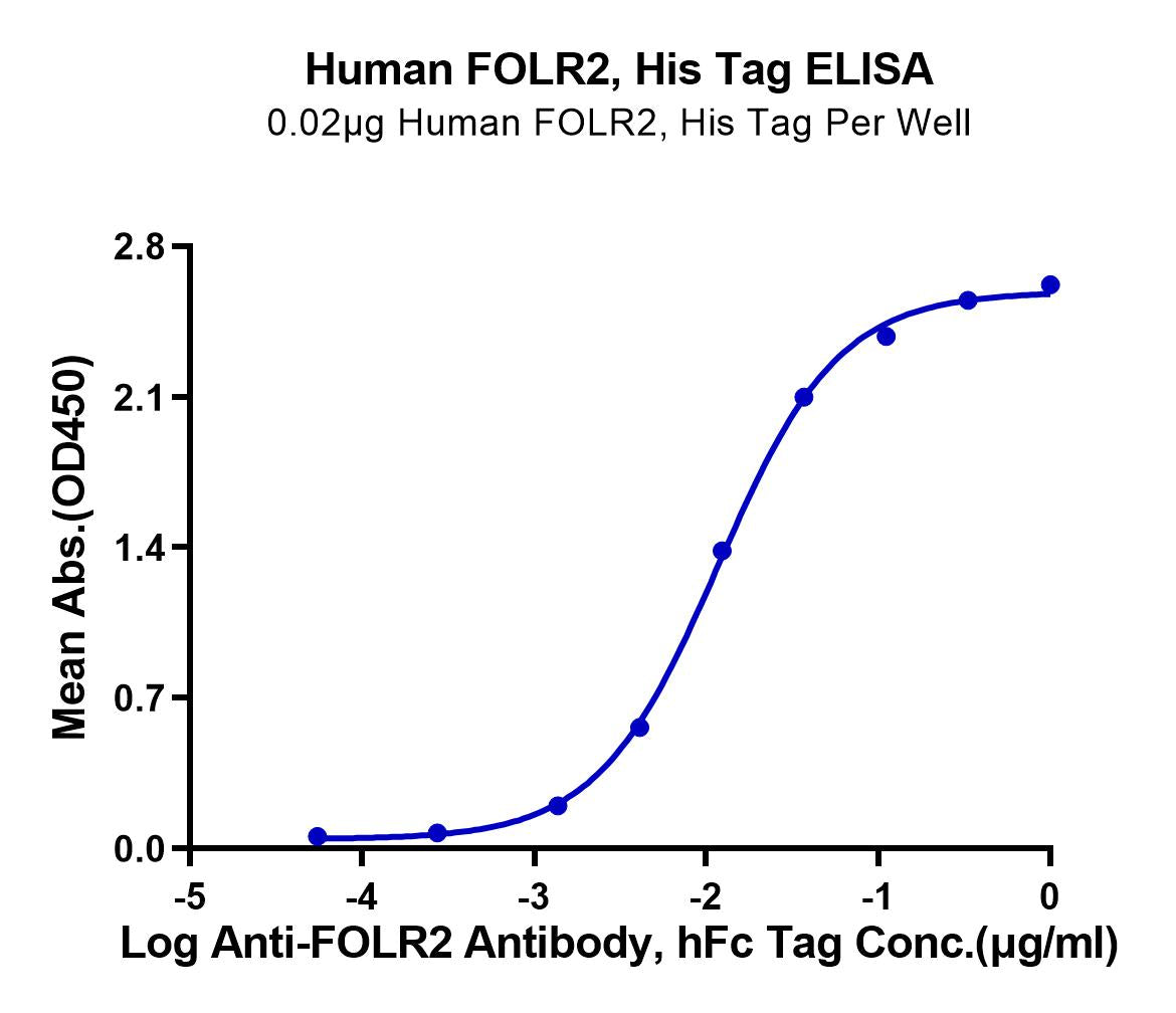 Human FOLR2 Protein (FOL-HM1R2) | KACTUS