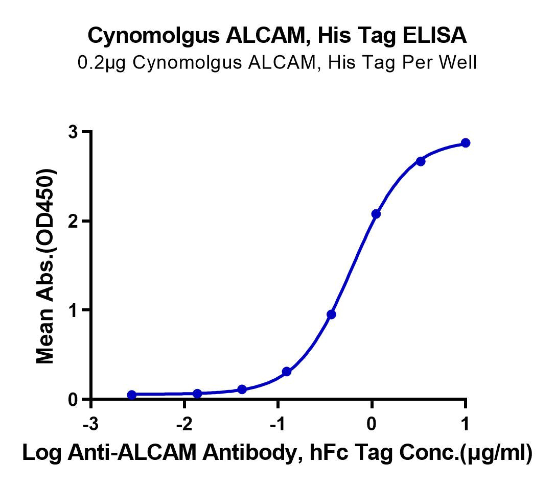 Cynomolgus ALCAM/CD166 Protein (ALC-CM101) | KACTUS