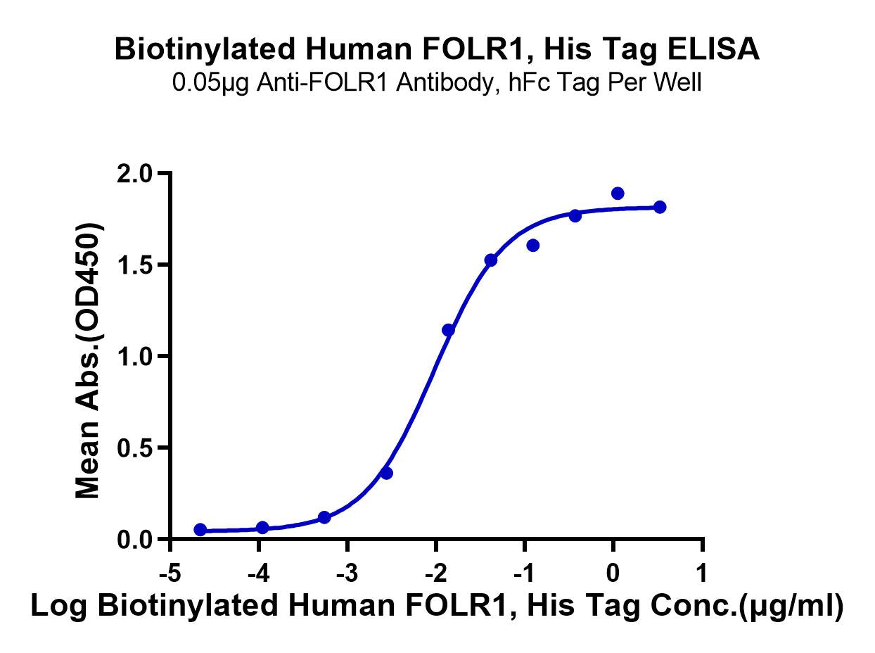 Biotinylated Human FOLR1 Protein (FOL-HM4R1B) – KACTUS